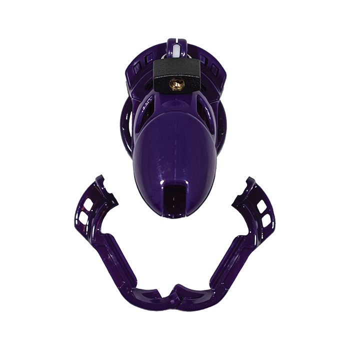 Locked In Lust The Vice Standard - Purple – Hella Raw
